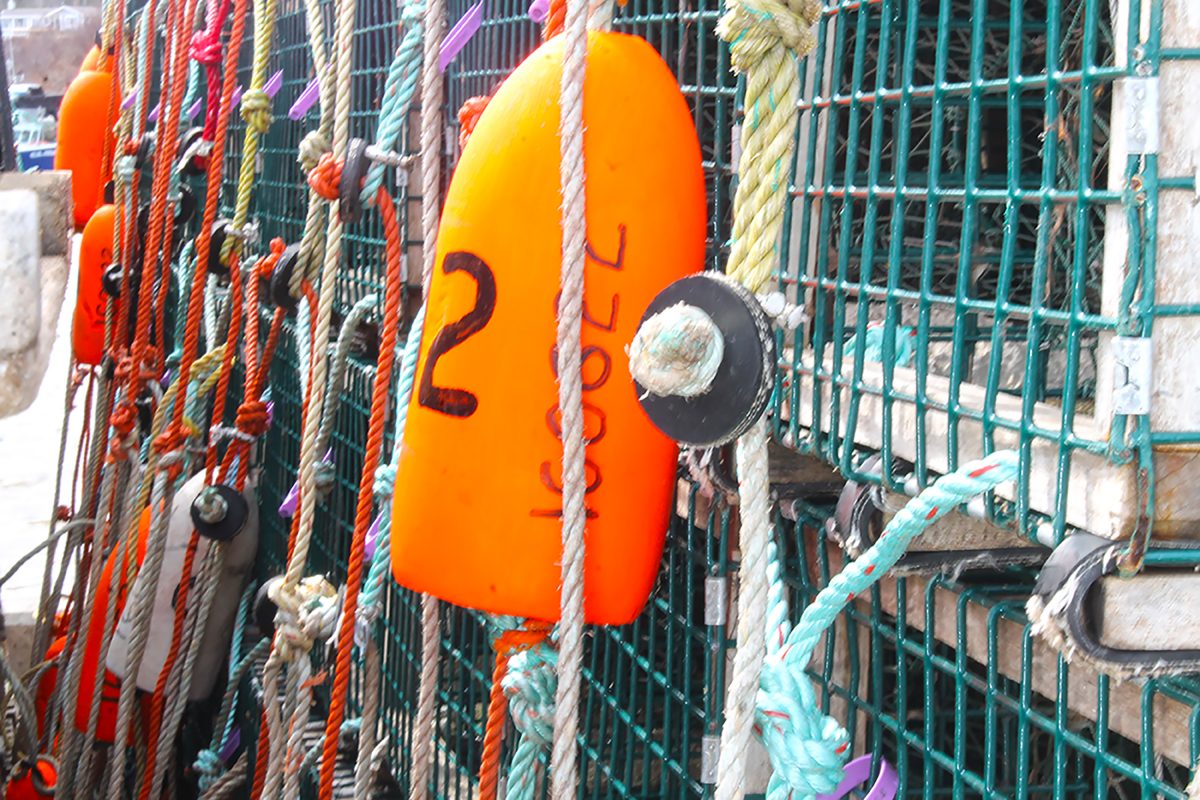 Buoys & Rope | Laughing Lobster Photography